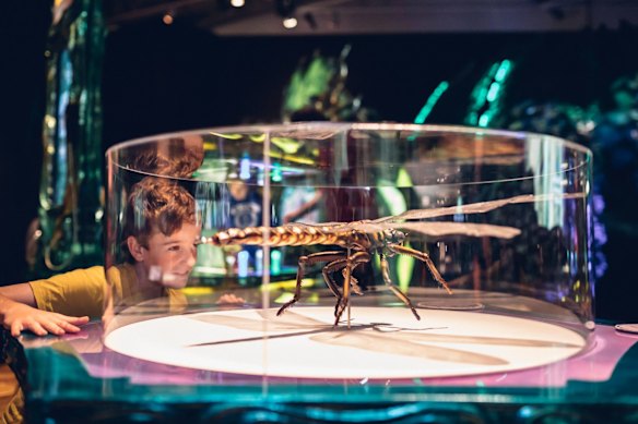 A Bugs Life