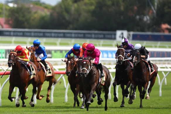 Racing 2024: Fangirl takes off in Apollo Stakes at Randwick with nod to ...
