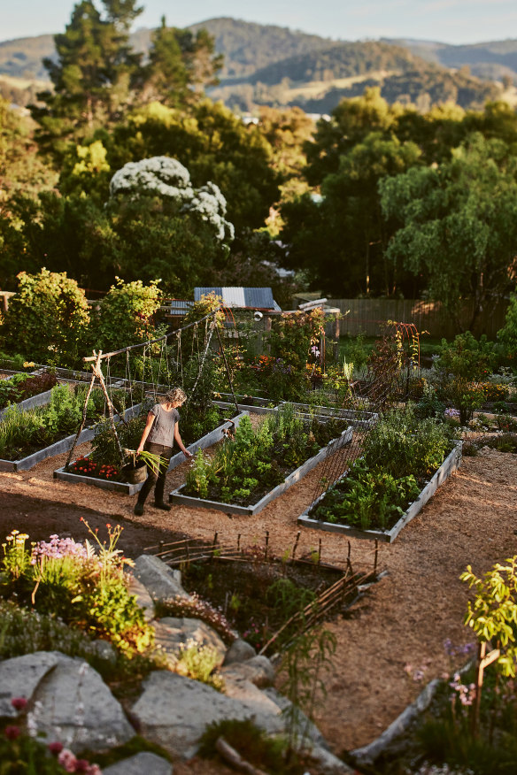 Gardening tips: Permaculture handbook shows how to do less in teh garden