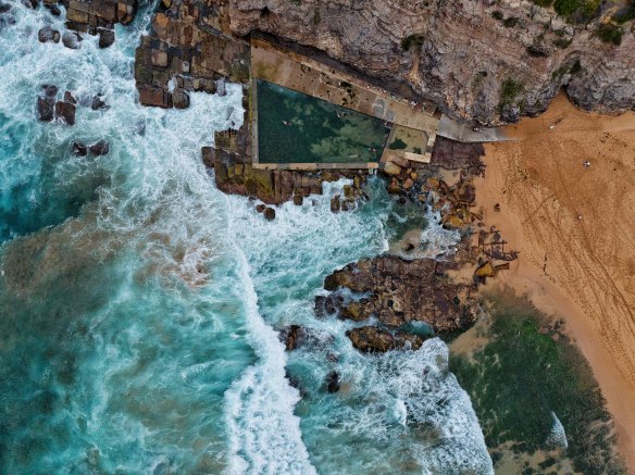Palm Beach to Fairy Bower: Ocean Rockpool Tour celebrates Northern ...