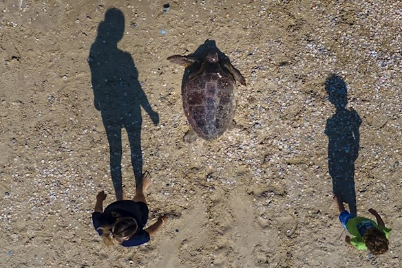 Gallery: The best photos from around the world