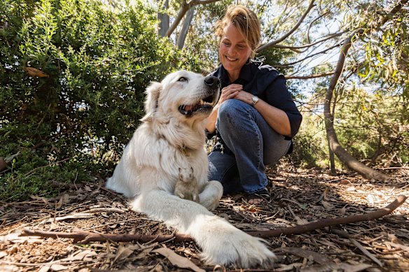 Protector Pooch a Wild Idea at Werribee Zoo