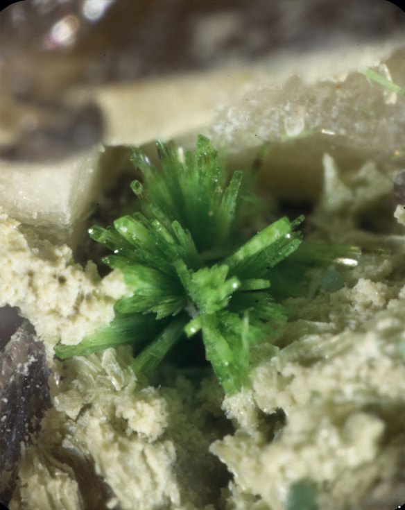 Rare new minerals discovered