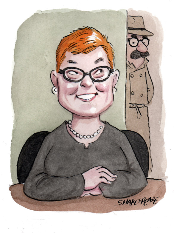 Marise Payne's new hire: Foreign Affairs Minister hires sleuth Justin Bassi