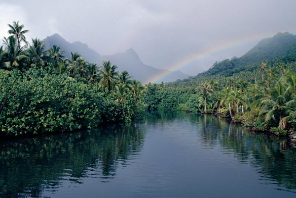 Six of the best day trip tours in French Polynesia