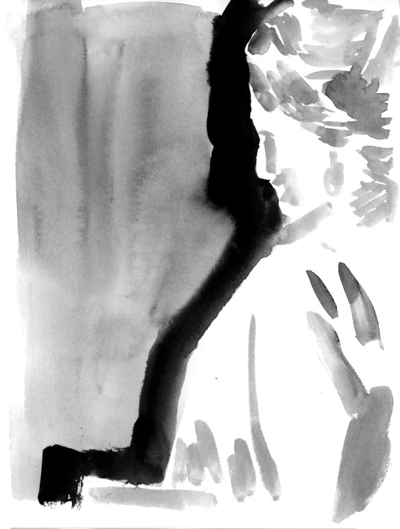 Princess Diana examined by artist Leanne Shapton in new book