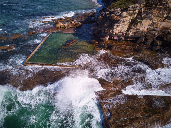 Palm Beach to Fairy Bower: Ocean Rockpool Tour celebrates Northern ...