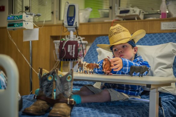 Fairfax photos of the week