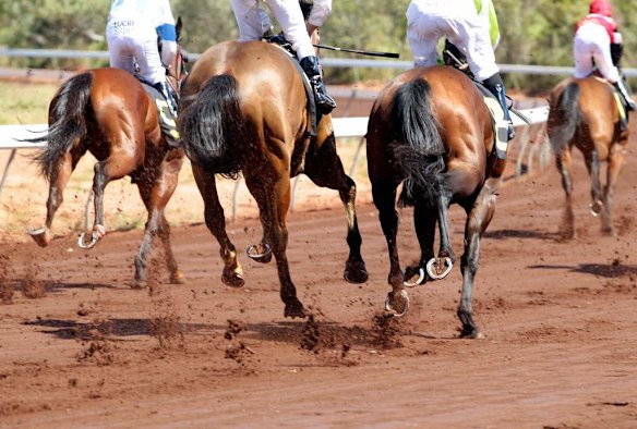 It's like the Melbourne Cup at Broome temperature