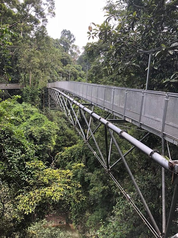 World's 10 best treetop walks with unbeatable views