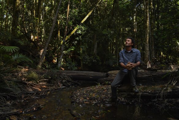 'Rampant' expansion of blueberry farms triggers compliance crackdown