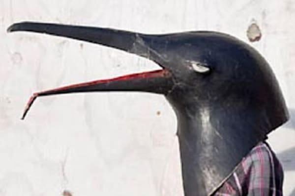 Music back on the menu at the Penguin Cafe