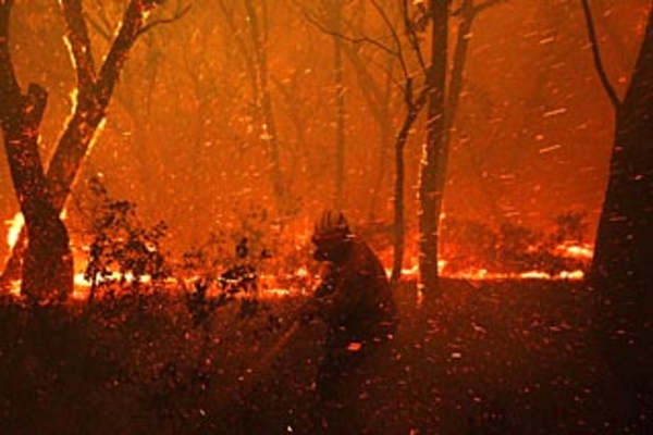 Bushfire photos teach lessons of the flames, on show in NSW library