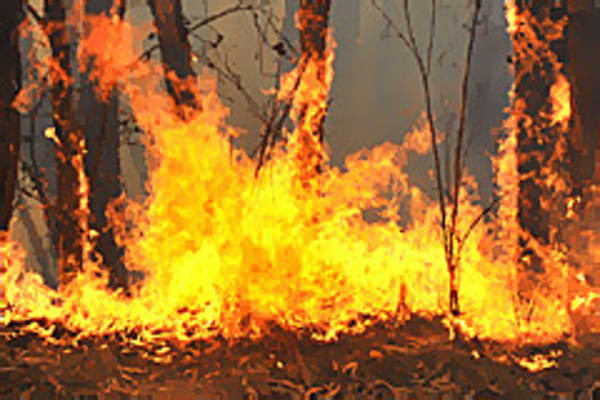 Firefighters continue to battle Wilsons Prom blaze