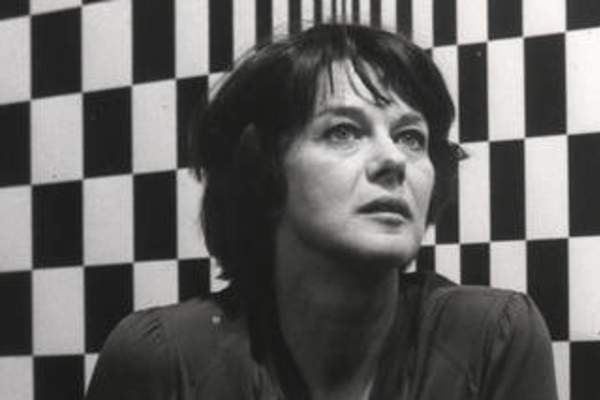 The life … and colours and shapes … of Riley