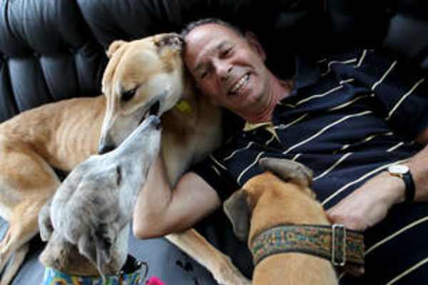 Inquiry told of cruelties as greyhound slaughter continues unchecked