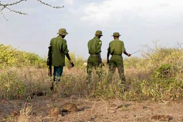 Notorious poacher now leads a fight to save Africa's elephants