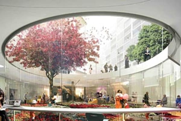 The story of the library with a garden