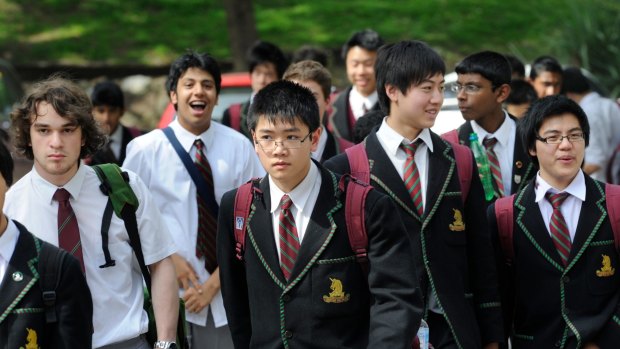 Public education in Victoria: Selective schools set standards everyone ...