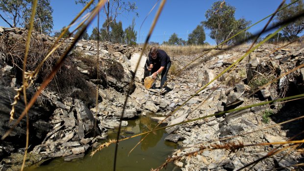 South African fossils rewrite early history of life on land