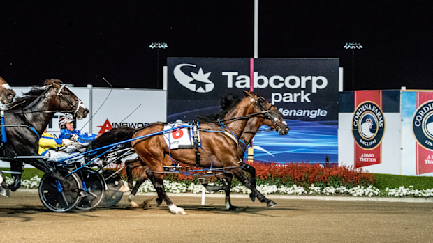 HRNSW reveal rising stars for Nick Dewar memorial series