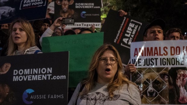 Animal rights activists rally in Melbourne CBD