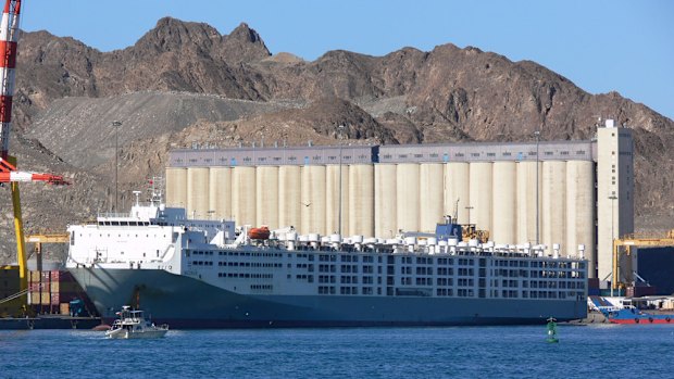 Greens propose five-point plan to phase out live sheep exports