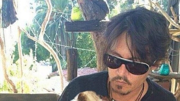 Johnny Depp's dogs told to 'bugger off'