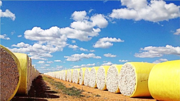 Kahlbetzer family hooks foreign buyers for Twynam farms