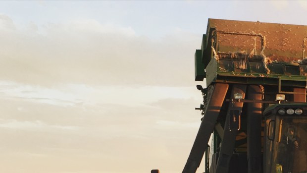 Norman Farming selling Border Rivers farms with $100m expected