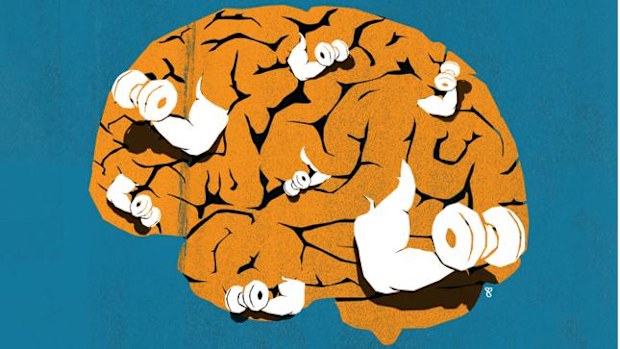 How to train a high-flying brain