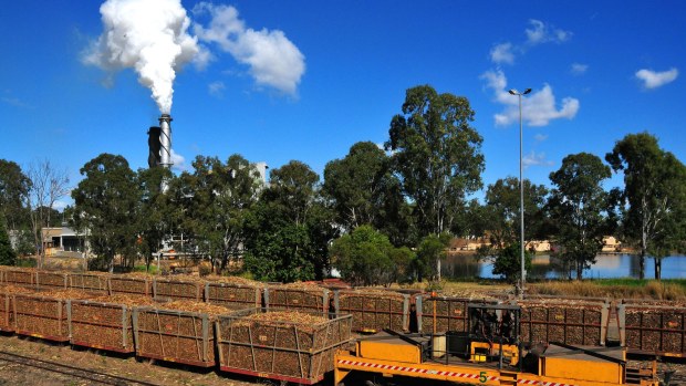 Isis Central Sugar Mill in capital, not caliphate raising