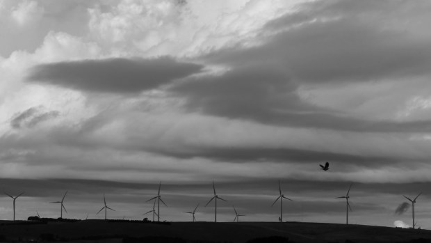 Taralga wind farm bidders line up as Morrison pitches China fund