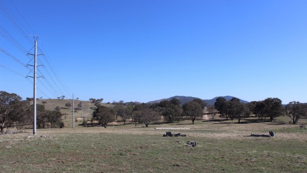 Liberman-backed Impact Investment to develop 11MW ACT Williamsdale ...