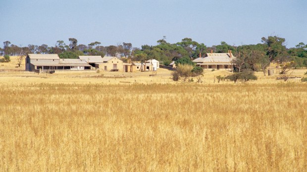 Agri-finance company seeks equity injection