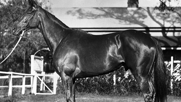 Phar Lap mementos to go for a gallop