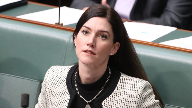 Lib MP Nicolle Flint growls at BEAR, calls it bank bashing