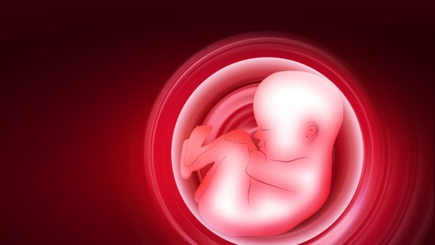 Genea seals IVF deal with Merck