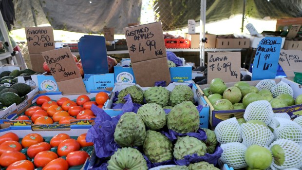 Western Australia's fruit and veg chamber advances Perth's Market City ...