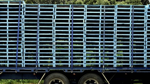 Brambles deserves a deeper look