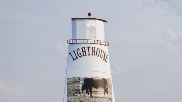 AWX's Tom Strachan buys Queensland's 'champagne' cattle station country