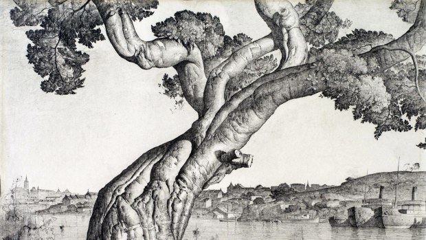 Lloyd Rees and the pencil drawings that saved his art for us