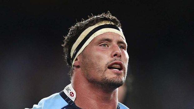 Warhorse ready for battle