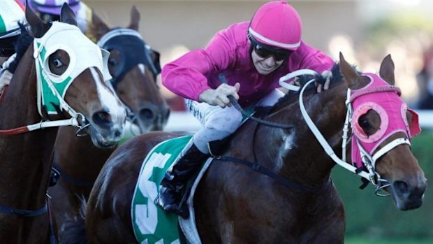 Tattersall's Tiara set to cap group 1 season for trainer Chris Waller