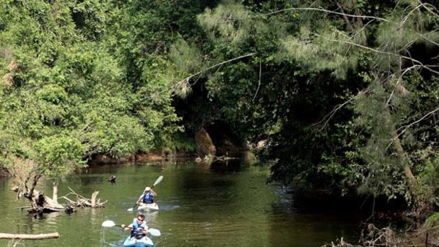 Mary Valley looks ahead - the Kandanga experiment