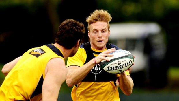 New Brumbies speedster streaks in