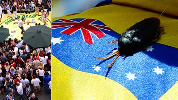 Australia Day - the Brisbane way