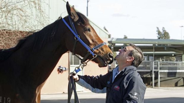Super Cool a hot prospect ready to come out of shadows