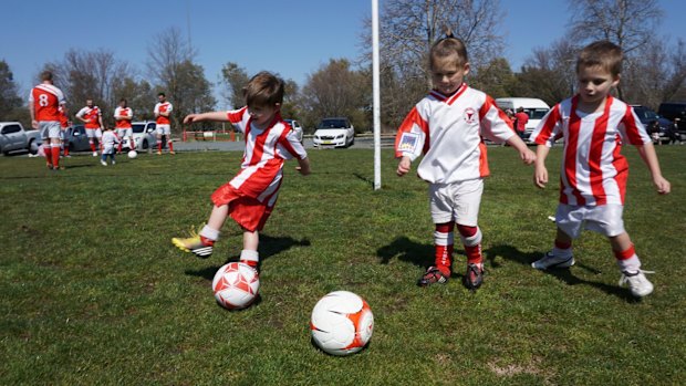 ACT government spends $600,000 from Asian Cup for grassroots football
