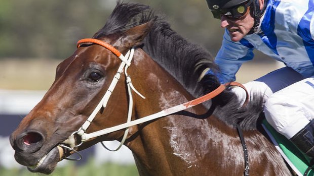 Zephyron moves towards living up to price tag